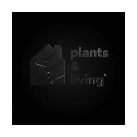 Plants & Living GIFs on GIPHY - Be Animated