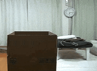 Infinite The Chaser Gif