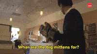 Mitten GIFs - Get the best GIF on GIPHY