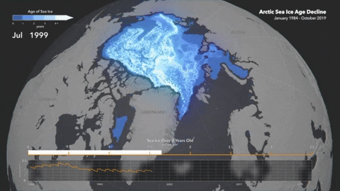 Arctic-sea GIFs - Get the best GIF on GIPHY