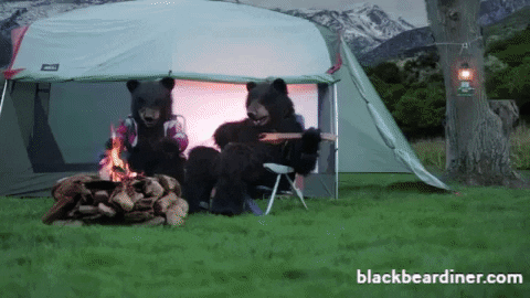 Campfire GIFs - Find & Share on GIPHY