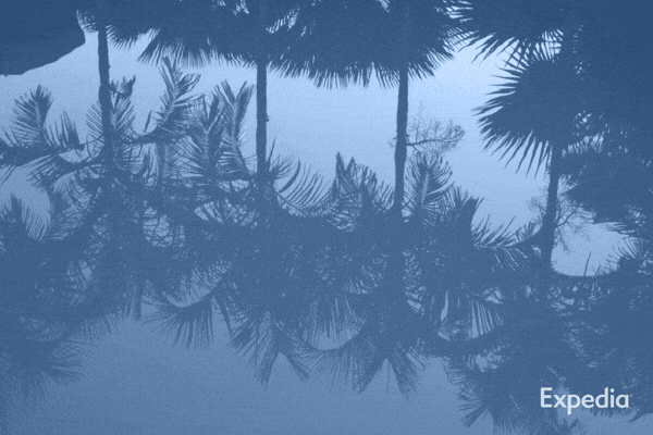 Holiday-book GIFs - Get the best GIF on GIPHY