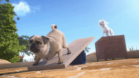 Lets Go Dog GIF by MightyMike - Find & Share on GIPHY