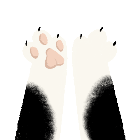 Cat Clap Sticker by Kaisu Sandberg for iOS & Android | GIPHY