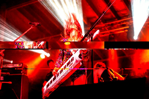 Toronto Band GIFs - Get the best GIF on GIPHY