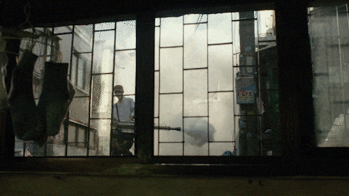 Stink Bugs GIFs - Get the best GIF on GIPHY