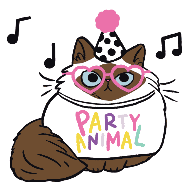 Cat Party Gif