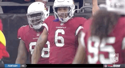 Arizona Cardinals Football GIF by NFL - Find & Share on GIPHY
