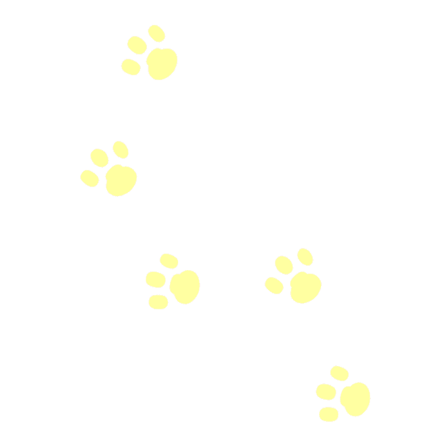 Cat Sticker for iOS & Android | GIPHY