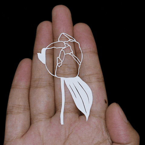 Flower Bloom GIFs - Get the best GIF on GIPHY