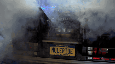 Sm License Plate Gif By Sticker - Find & Share on GIPHY