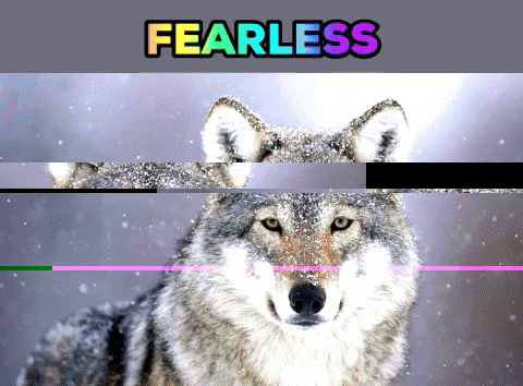 Fearless Documentary GIFs - Get the best GIF on GIPHY