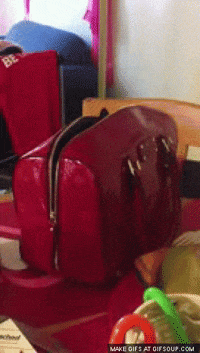 I try so hard not to spill the contents of my purse | Lipstick Alley