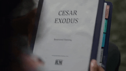 Red-yellow GIFs - Get the best GIF on GIPHY