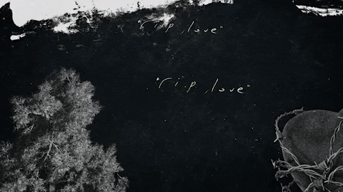 Rip-love GIFs - Get the best GIF on GIPHY