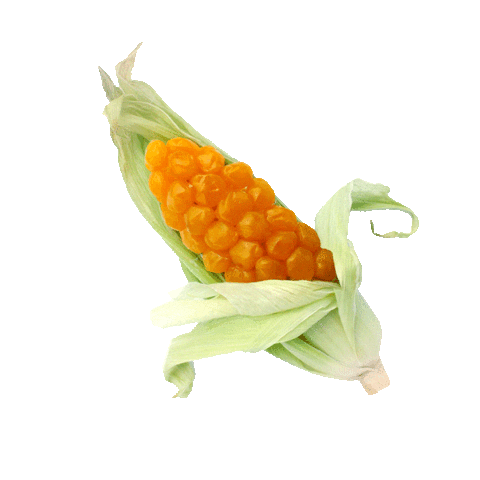 Corn Emoji