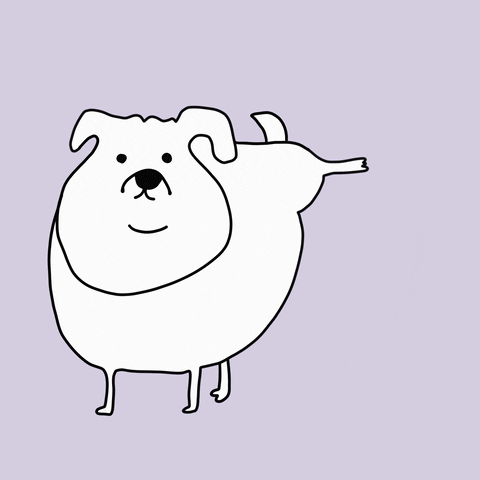 Happy-pug GIFs - Get the best GIF on GIPHY