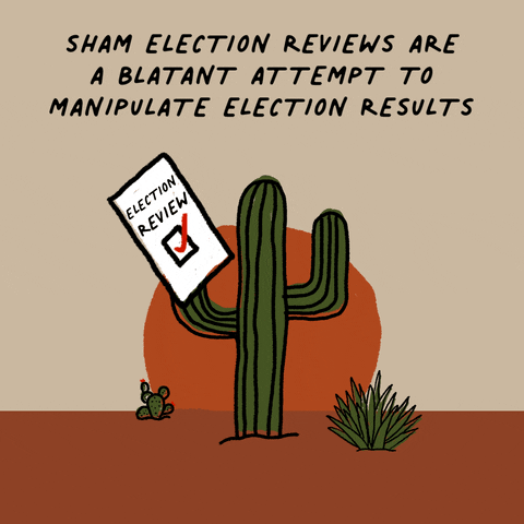 Election-reviews GIFs - Get the best GIF on GIPHY