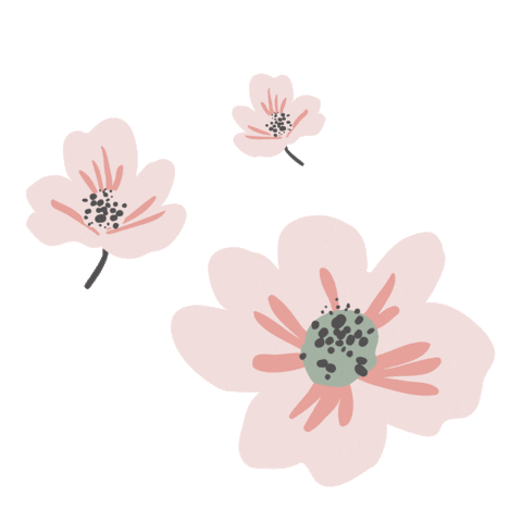 Pink Flower Gif | Best Flower Site
