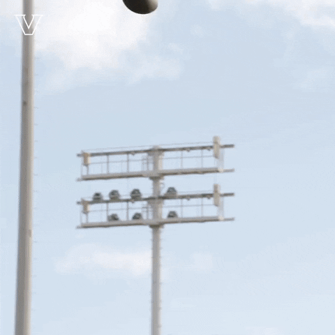 Sheppard GIFs - Get the best GIF on GIPHY