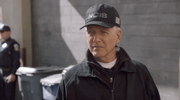 Gibbs GIF by CBS - Find & Share on GIPHY