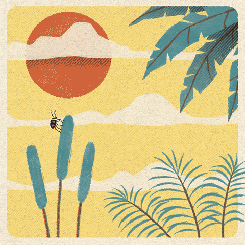 Yellow Sky GIFs - Get the best GIF on GIPHY