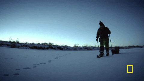 Snow Dogsled GIF by National Geographic Channel - Find & Share on GIPHY