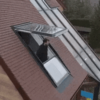 Window Fail GIF by JustViral.Net - Find & Share on GIPHY