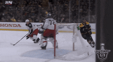 GIFs for the Stanley Cup Finals! by Sports GIFs | GIPHY