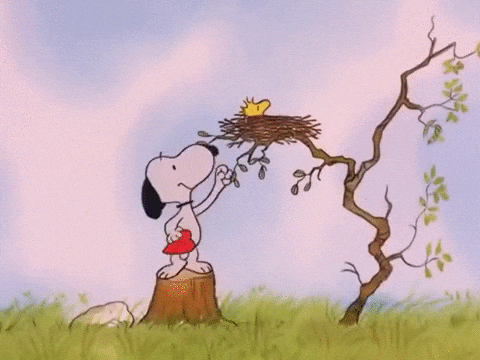 Charlie Brown GIF by Peanuts - Find & Share on GIPHY