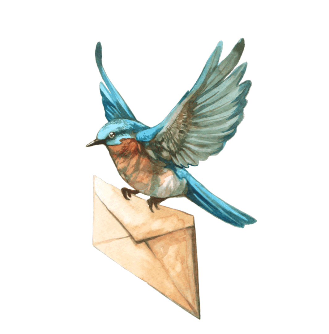 Bird Delivery Sticker by Amy's Kitchen for iOS & Android | GIPHY