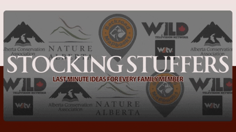 alberta_conservation GIFs on GIPHY - Be Animated