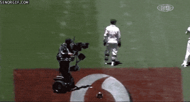 Cricket GIFs - Find & Share on GIPHY