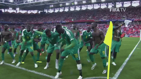 10 FIFA GIFs To Get You Ready For The World Cup! by Sports GIFs | GIPHY