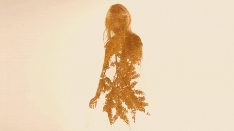Double Exposure GIFs - Get the best GIF on GIPHY