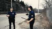 Beastie Boys Cop Gif