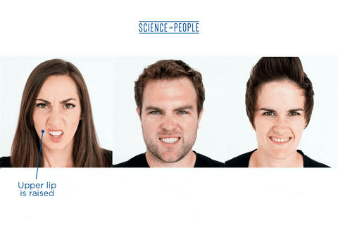 Facial Expression Face GIF by Vanessa Van Edwards - Find & Share on GIPHY