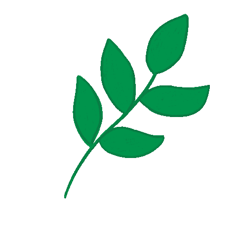 Green Sticker for iOS & Android | GIPHY