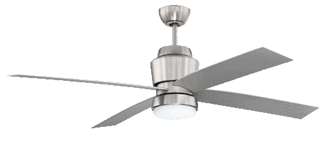 Cat Swinging From Ceiling Fan Gif | Shelly Lighting