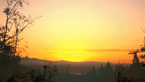 Breeaking Dawn GIFs - Get the best GIF on GIPHY