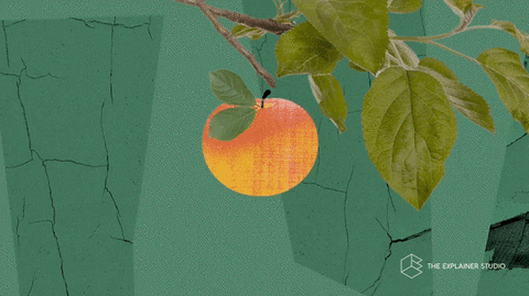 Animation Sniffing GIF by The Explainer Studio - Find & Share on GIPHY