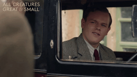 I-fancy-you GIFs - Find & Share on GIPHY