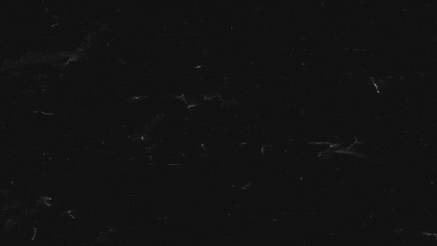 Fighting Reflection GIFs - Get the best GIF on GIPHY