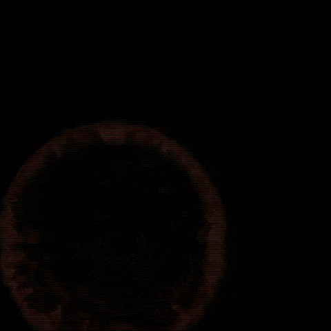 No Sign Language GIFs - Find & Share on GIPHY