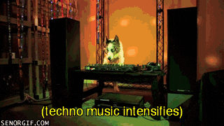 Rave Dog Gif