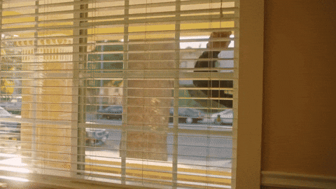 Internet Money GIFs - Get the best GIF on GIPHY