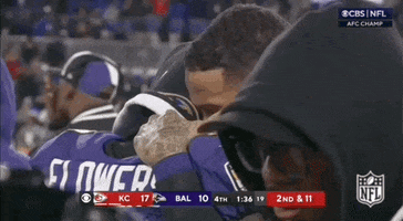 Baltimore Ravens GIFs on GIPHY - Be Animated