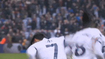 Tottenham Hotspur GIFs on GIPHY - Be Animated
