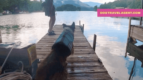 Lake Lure GIFs - Get the best GIF on GIPHY