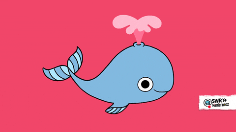 Happy Whale GIFs - Get the best GIF on GIPHY